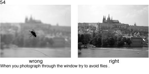 Absolutes Rules of Photography: Unhelpful Tips for Beginner Photographers