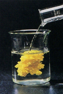 Kimia Analisis Jenis Kation Plumbum (Pembentukan Endapan) ~ Palanta OSCAR39