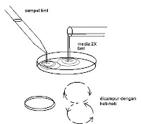 Perbedaan Isolasi Bakteri Secara Pour Plate, Streak Plate, Spread Plate ...