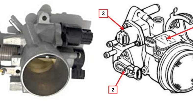 Fungsi Throttle Body Di Mesin EFI Mobil - Otosigna99