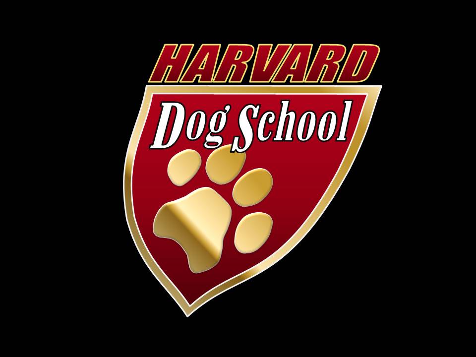 Entrenamiento Canino profesional en Monterrey México: Entrenamiento ...