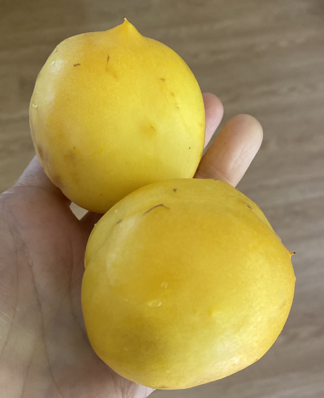Gardening : Samarkand Gold Nectarine