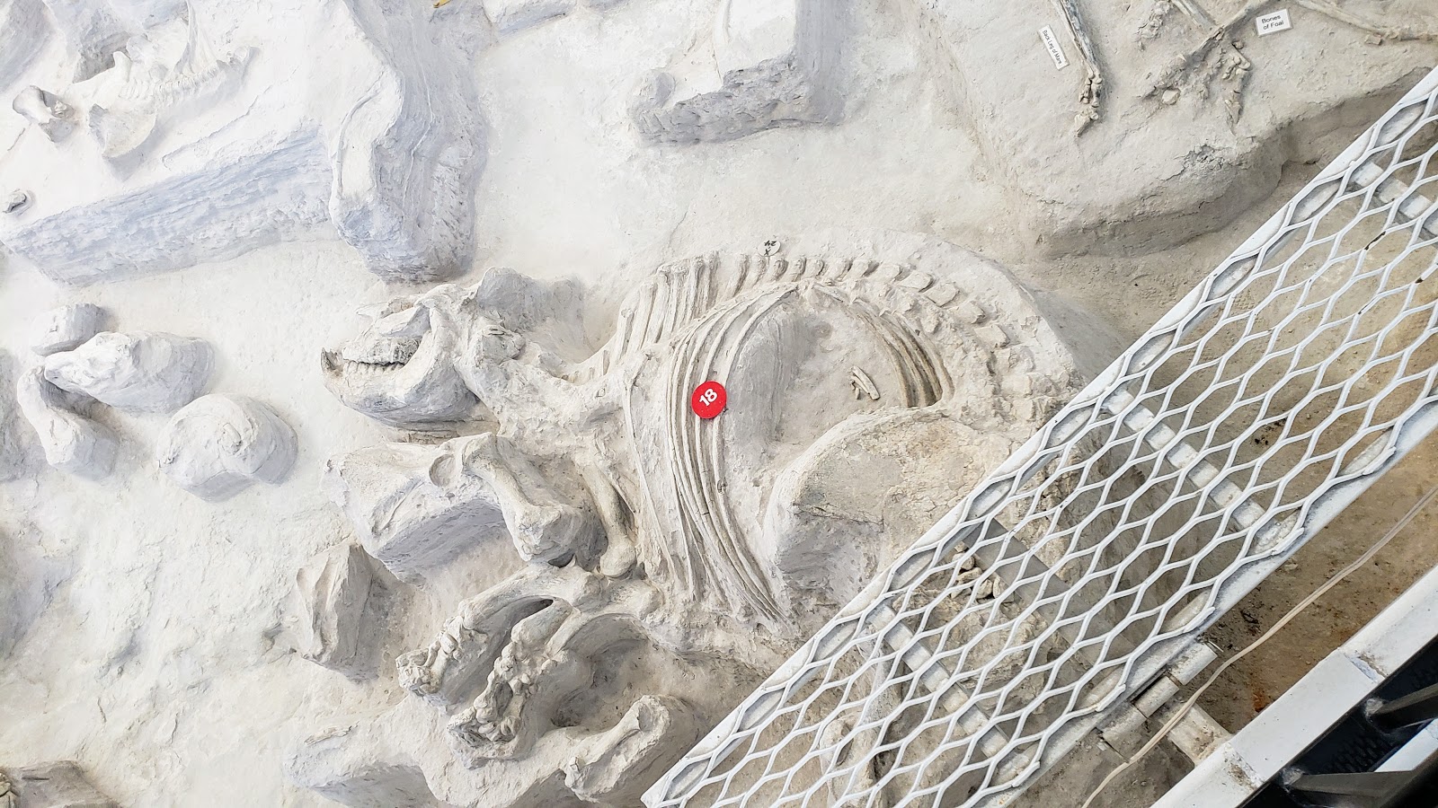 History and Culture by Bicycle: Ashfall Fossil Beds State Historical ...