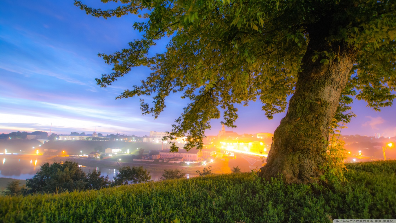 Walpaper Nature In City | Walpaper and dekstop background