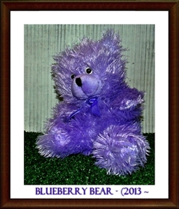 THE BLUEBERRY BEAR