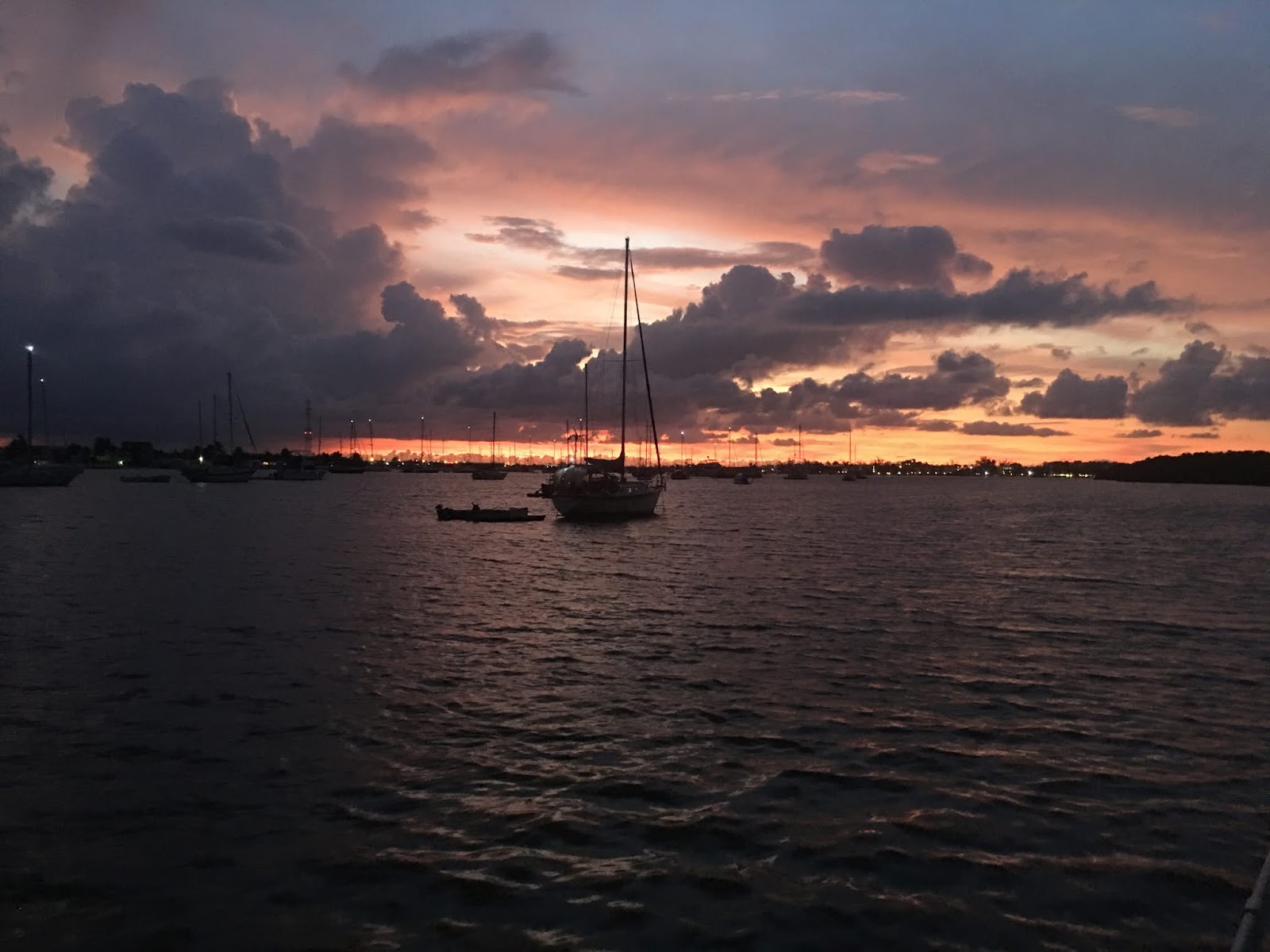 Aquaholic: Tuesday 6/2/2020 - Boot Key Florida (Marathon)