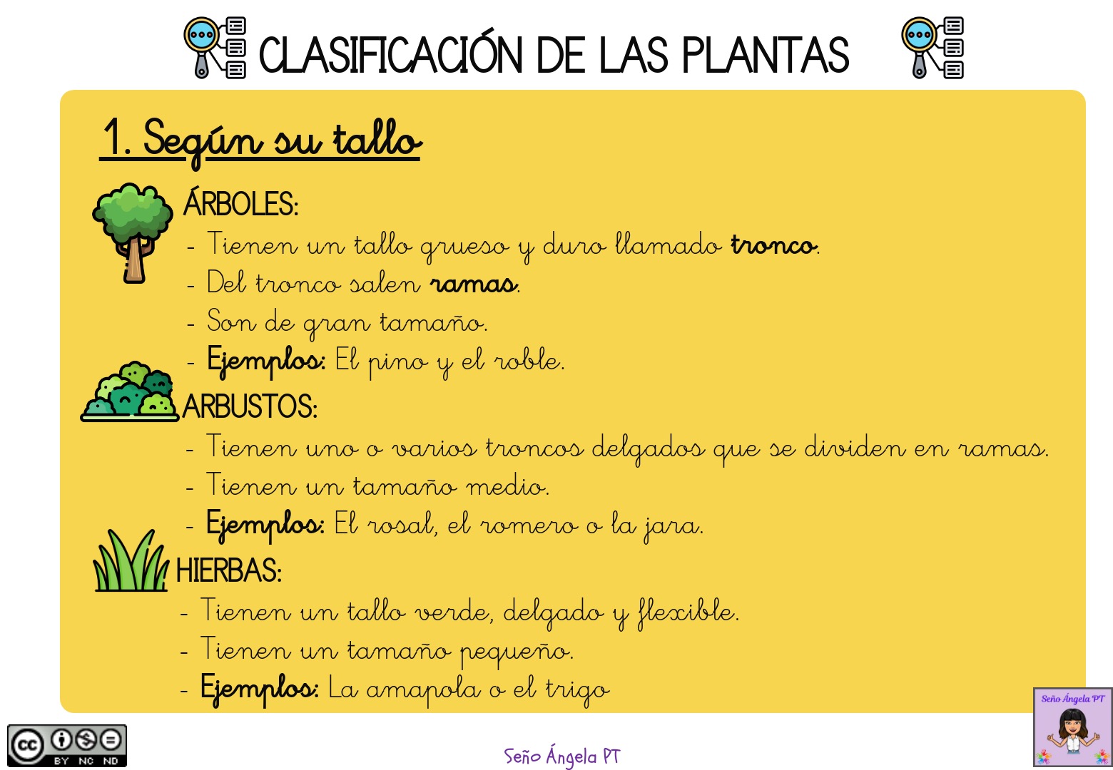 Seño Ángela PT: TEMA INTERACTIVO/ADAPTADO "ASÍ SON LOS ANIMALES Y LAS ...