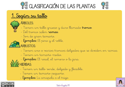 Seño Ángela PT: TEMA INTERACTIVO/ADAPTADO "ASÍ SON LOS ANIMALES Y LAS ...