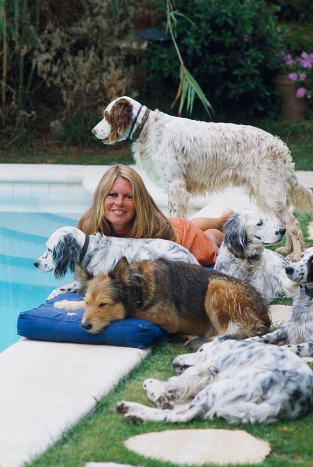 Fascinating Vintage Photographs of Brigitte Bardot With Her Dogs ...