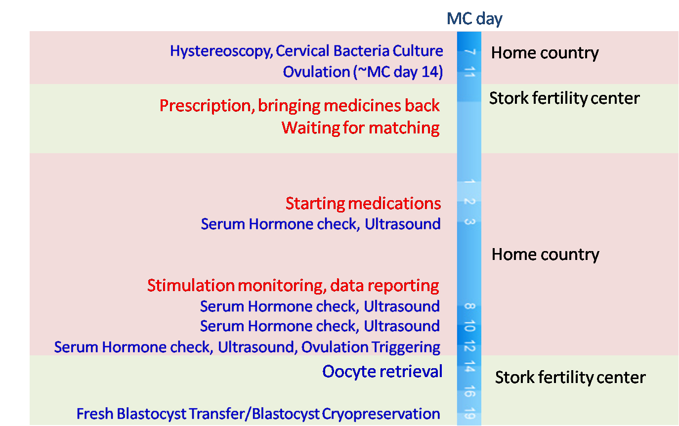 Individualized IVF Program for overseas customers | Stork Fertility ...