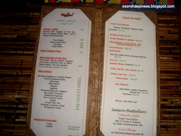 esor's HAEppiness!: "Blast From The Past" PALAWAN '09