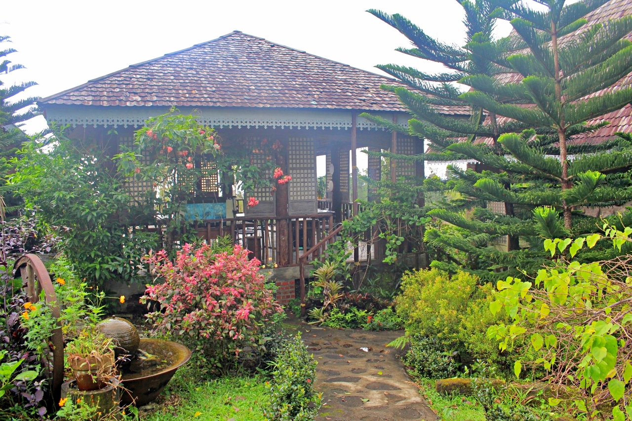 The Blooming Organic Farms in CALABARZON - Nomadic Experiences