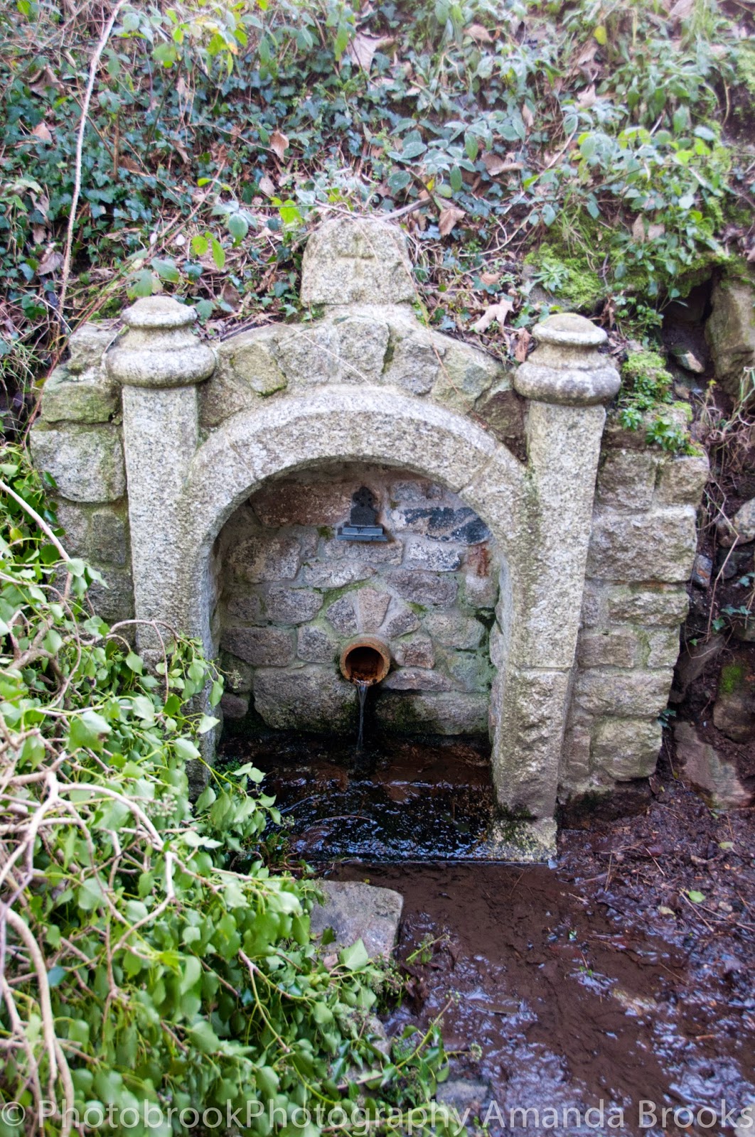Photobrook Photography: Frosty morning walks in Cornwall and Ruthvoes ...