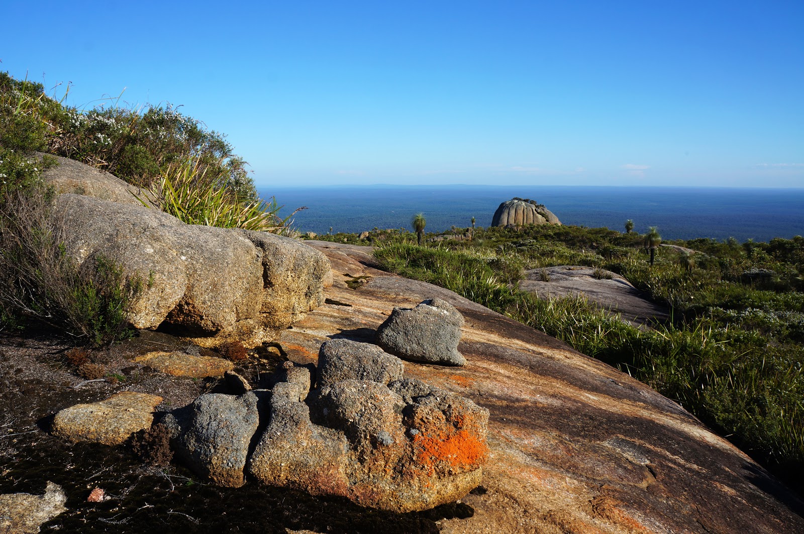 Mt Lindesay Walk Trail (Mt Lindesay National Park) ~ The Long Way's Better