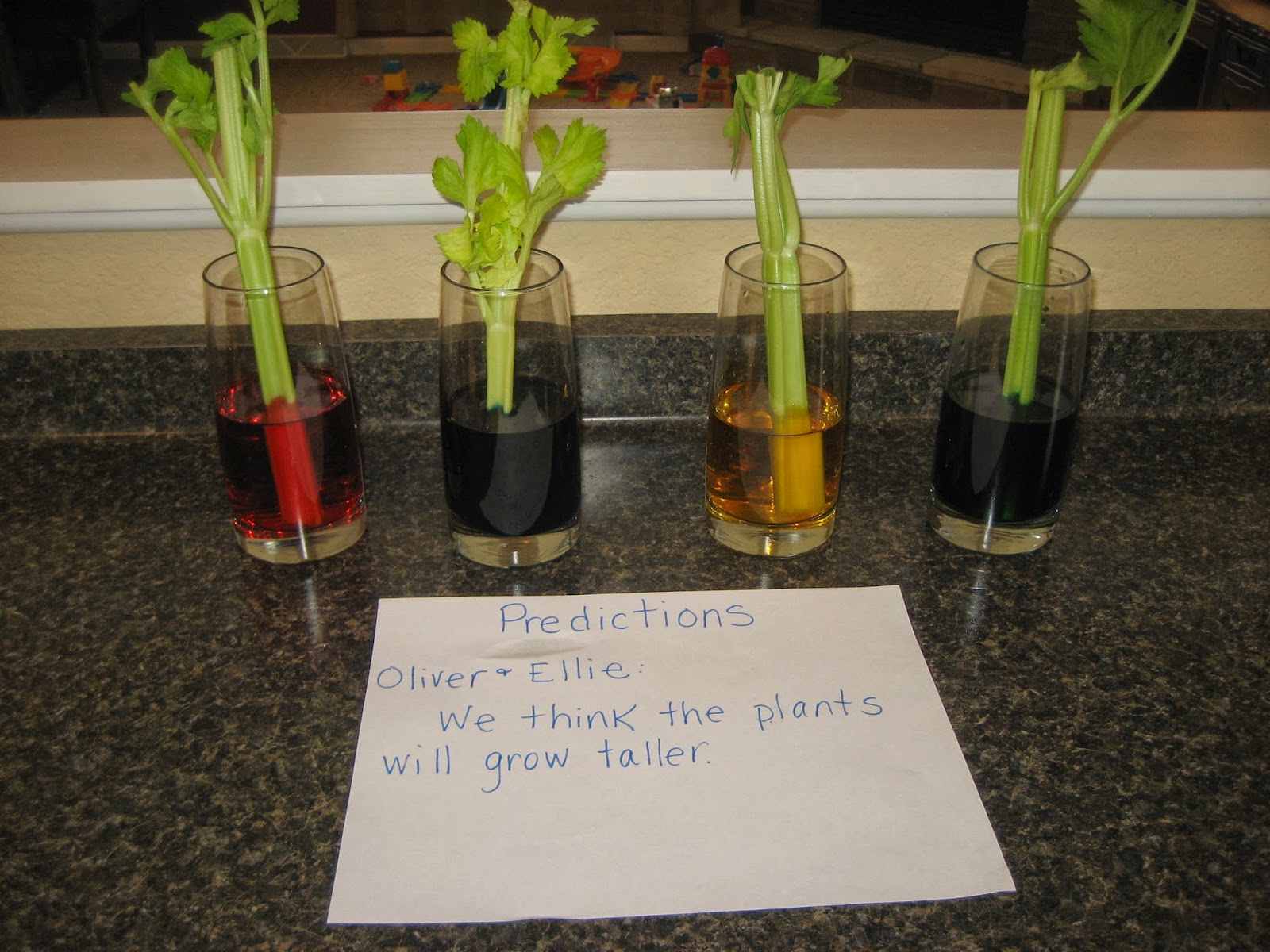 Living Our Homeschool Life: A Balancing Act Of Faith: Using Celery to ...