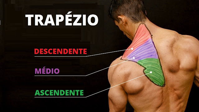 Barz Club Street Workout: Os 6 Melhores Exercícios para Costas - Treino Completo