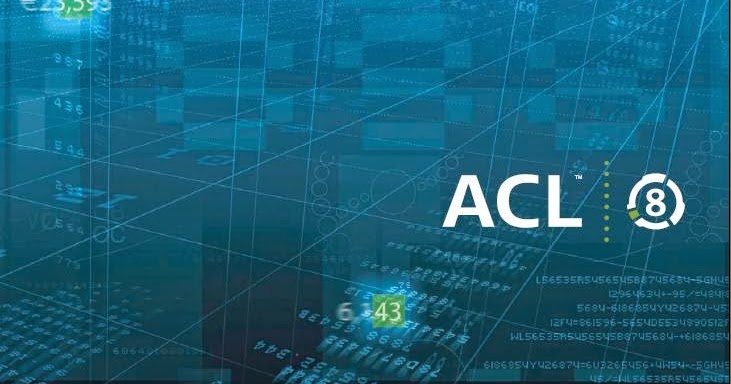 ACL V 8.0 (Audit command language)