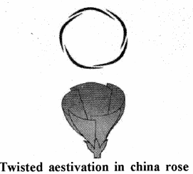 Biology Notes for Class11th, 12th, and NEET : Biology Blog: What Are ...