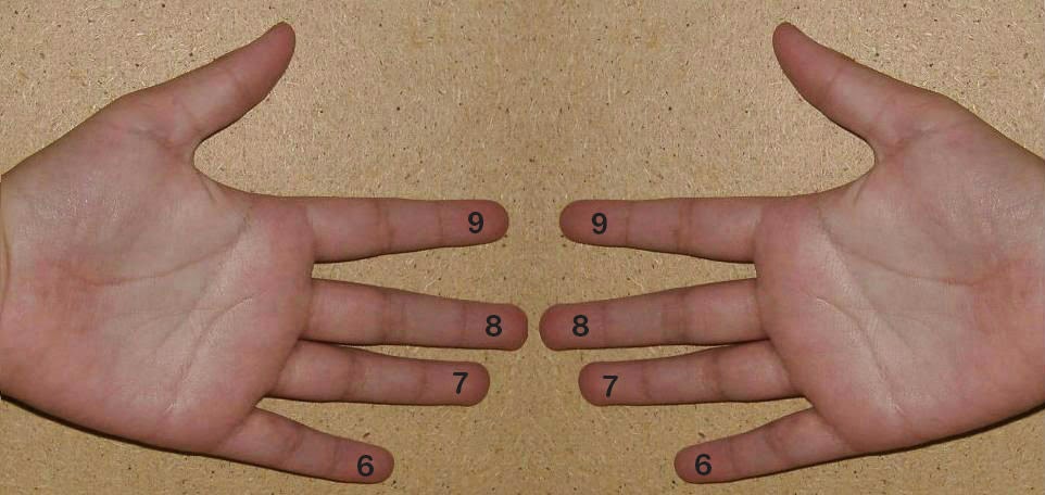 Teach Your Kids to Learn Multiplication With #FingerMath ~ Born a ...