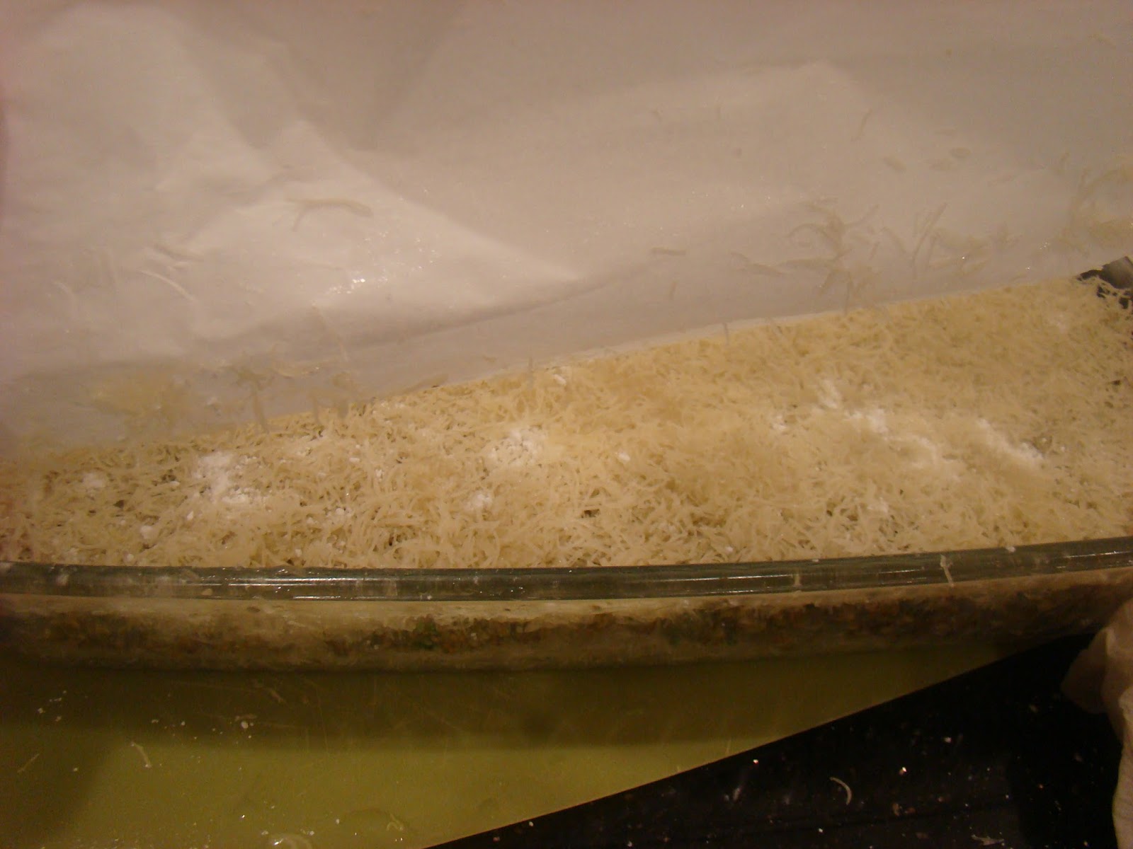 My Favorite Recipes Collection: Ballourie or Ballorieh Baklava