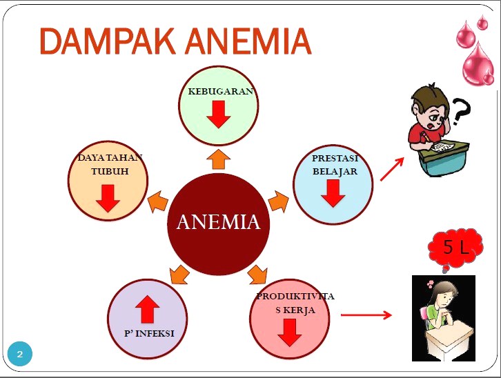 Anemiaction, Perlawanan Terhadap Anemia Agar Hidup Lebih Produktif ...