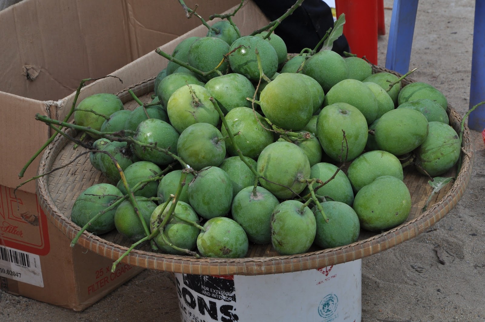 Mango, a delicious fruit ~ Photos Cambodia