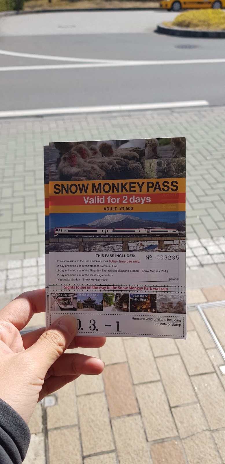 Snow Monkey Park: Monkeys in Hot Springs!