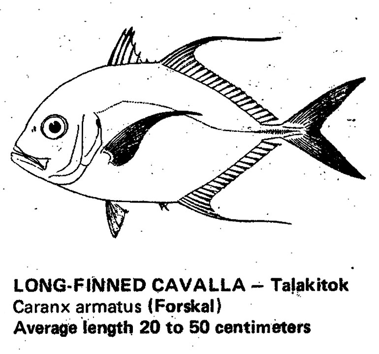 ALAM MO BA 'TO? (Do You Know This?): January 22