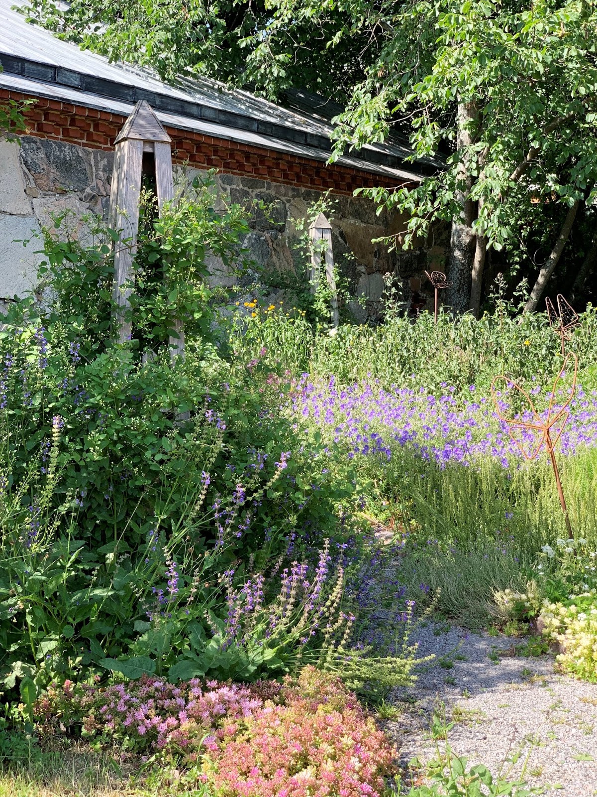 Mitä Hanko tarjoaa maakravulle? / Kotilaituri