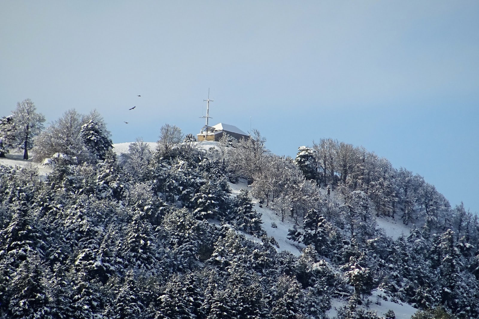 elpirineodejose: Pico Cuculo (1.549 m.) desde Sta. Cruz de la Serós y ...
