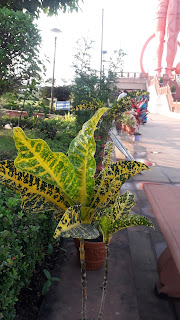 Siddheshwar Hanuman temple Simariya - Tallest statue of Lord Hanuman ...