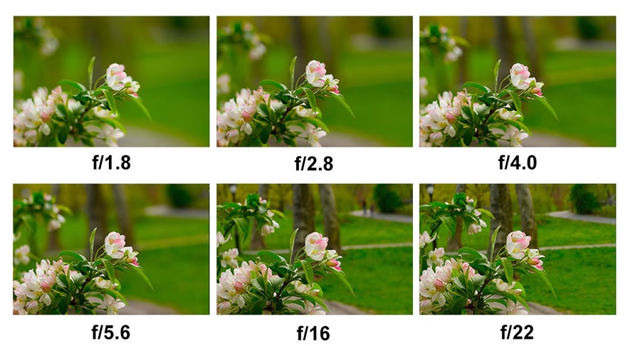 Pengertian Aperture Dalam Photograpy - Foto Video Wedding Jogja