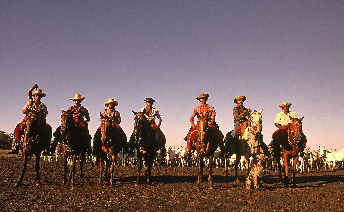 J. B. M c C o u r t n e y daily journal: The Pantanal; a major ...