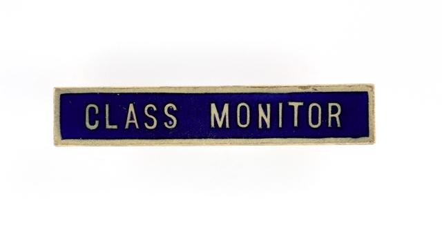 Being a Good Class Monitor: The Dummy's Guide! Being a Good Class Monitor: The Dummy's Guide!