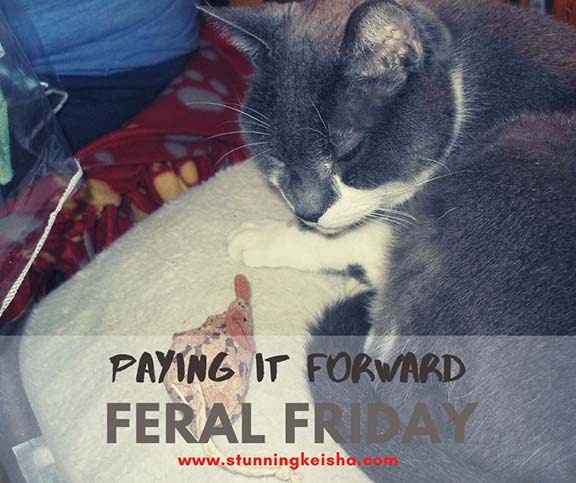 Feral Friday: Paying It Forward | Stunning Keisha
