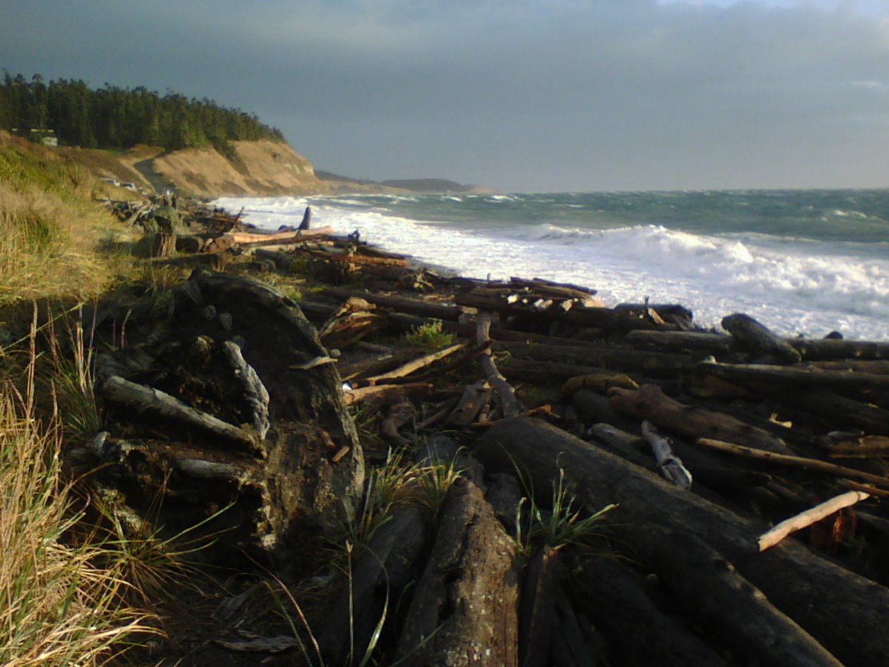 Gravel Beach: Bush Point
