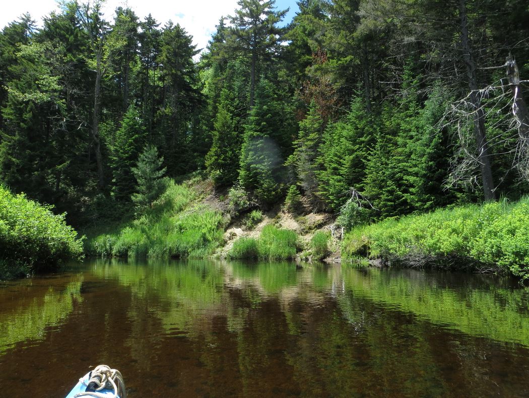 A Little Wild: A Busy Summer of Hikes and Water Trips - Kayaderosseras ...