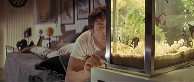 .: The Graduate film stills