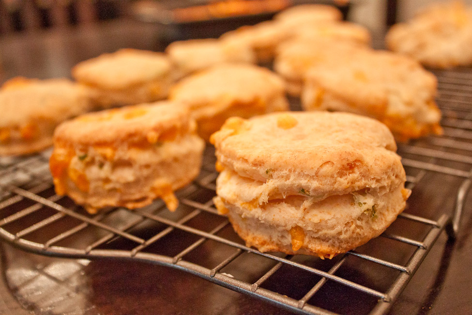 Savour Sisters: Cheddar and Chive Biscuits