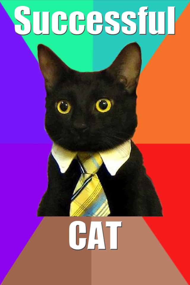 App'La Mode: Successful Cat meme