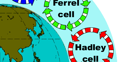 Sel Hadley, Sel Ferrel dan Sel Kutub | Geograph88