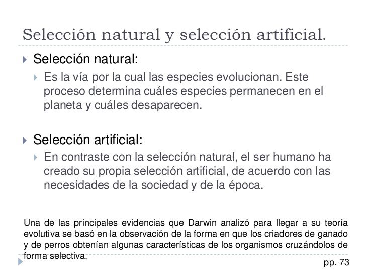 Semejanzas Y Diferencias Entre Seleccion Natural Y Ar - vrogue.co Semejanzas Y Diferencias Entre Seleccion Natural Y Ar - vrogue.co