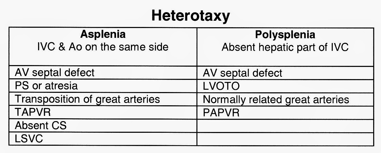 Pedi cardiology: Heterotaxy