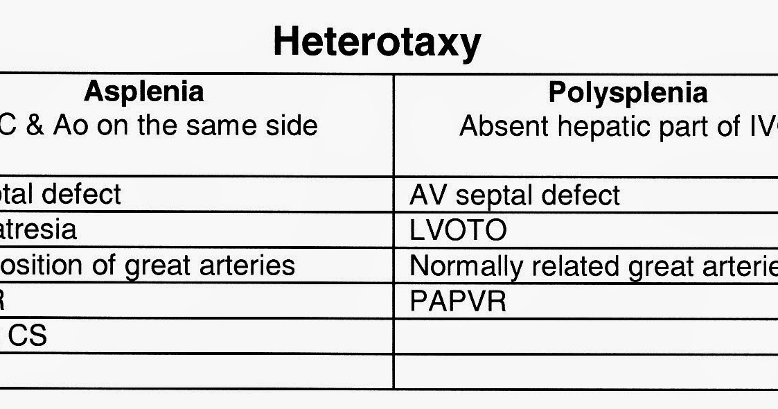 Pedi cardiology: Heterotaxy