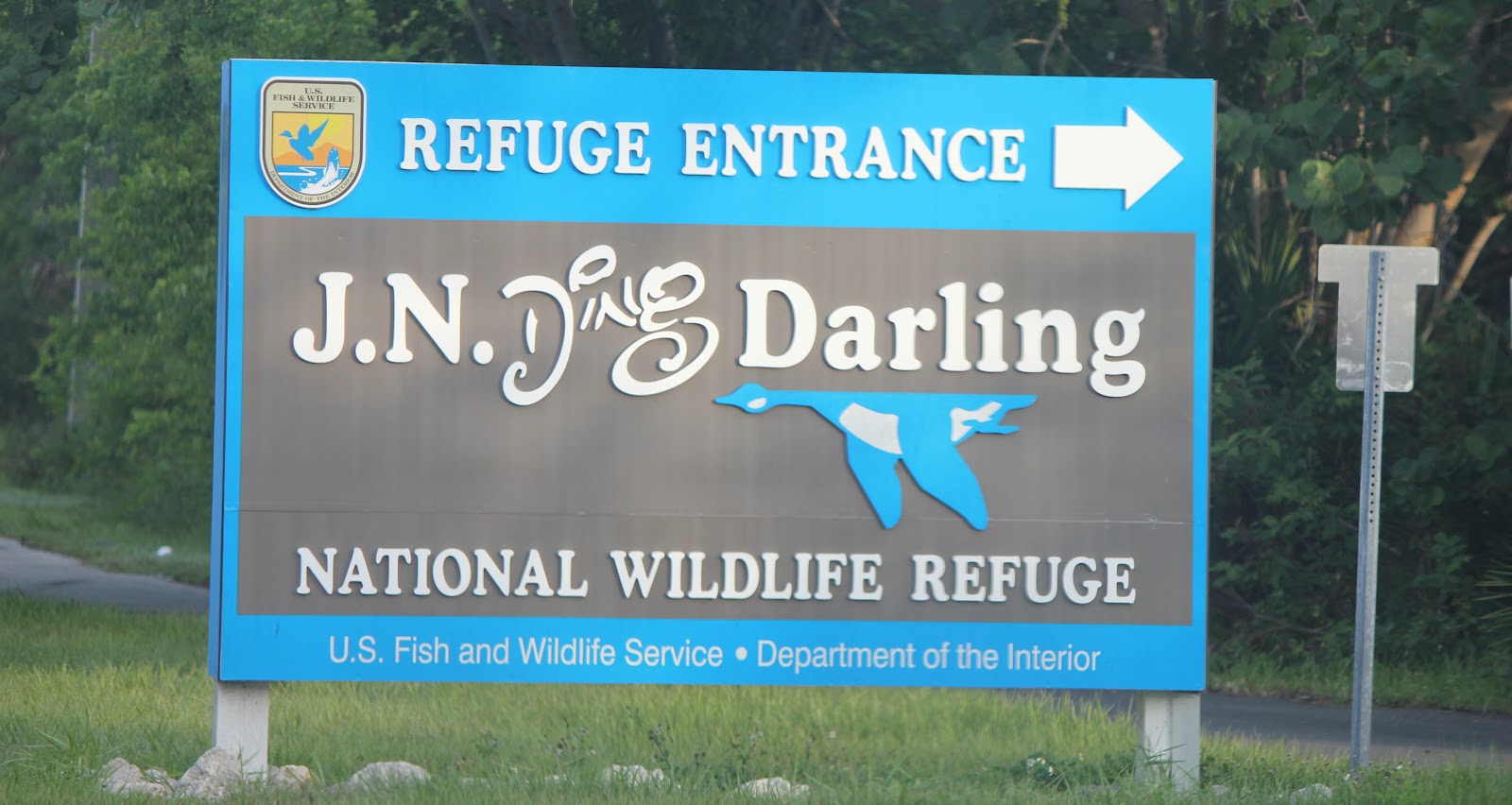 Views From Our Kayak: J.N. "Ding" Darling National Wildlife Refuge