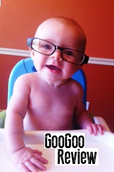 Goo Goo Review: Making Baby Food | Sweet Orange Fox