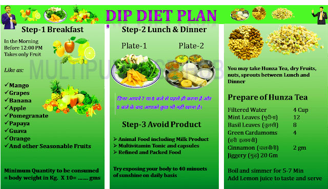 DIP Diet Digital Dunia dip-diet-digital-dunia
