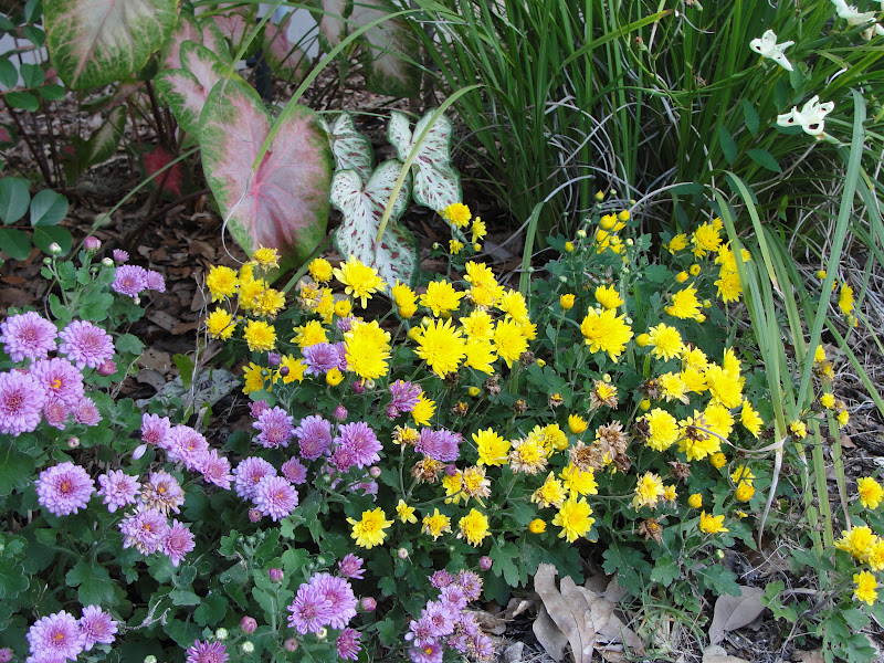 Simply Susan: So Long April...