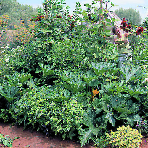 Get The Maximum Benefit In Limited Garden Space With French Intensive ...