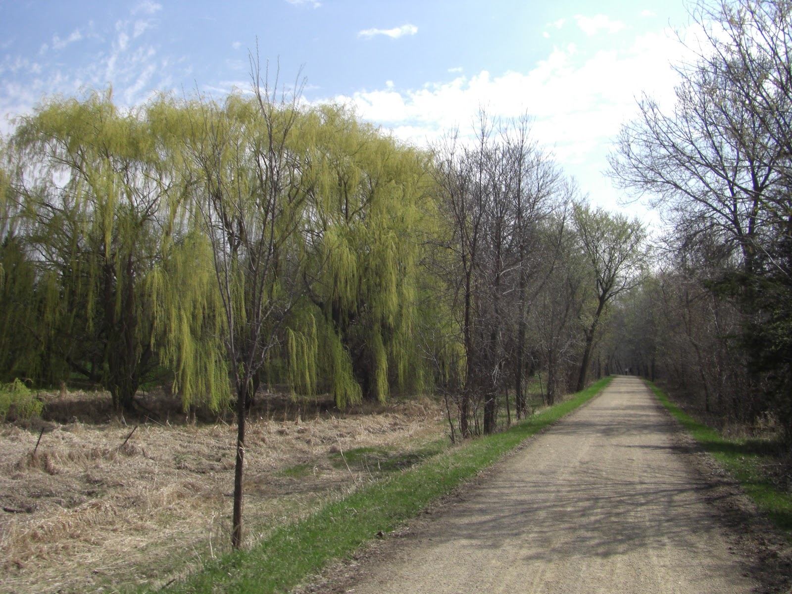 MN Bike Trail Navigator: Trail Photo Gallery: Luce Line State Trail
